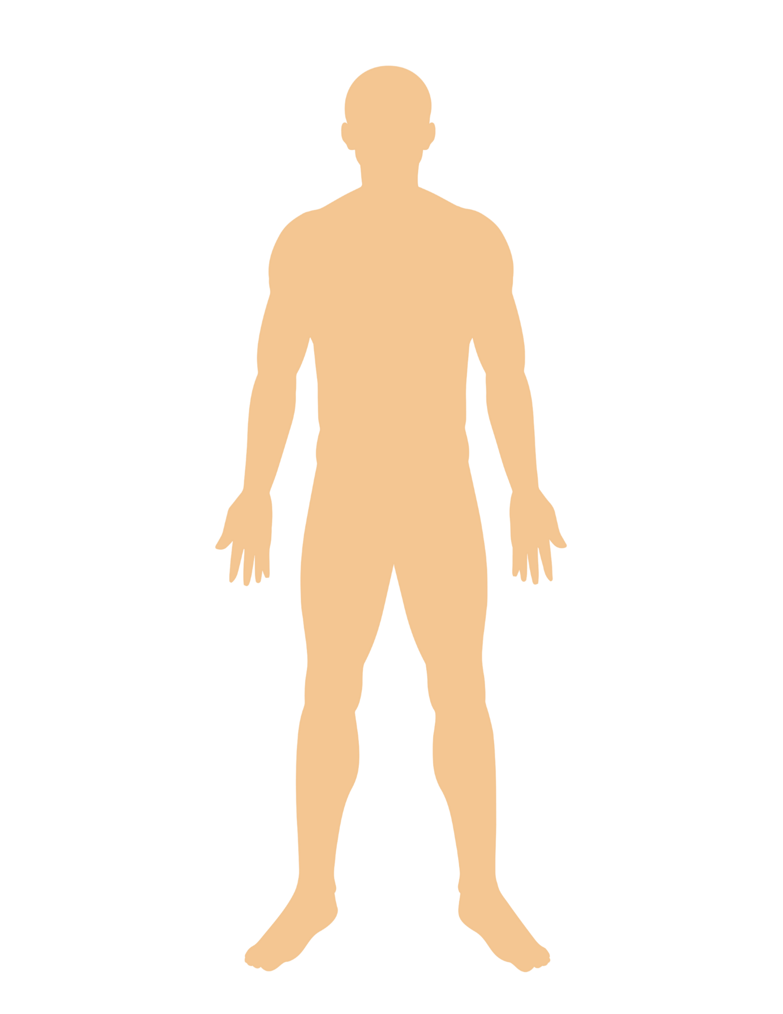 Human Body Diagram